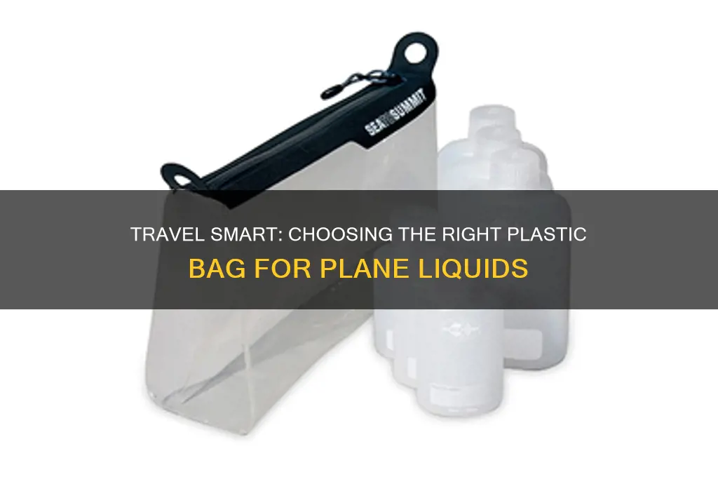 Travel Smart: Choosing The Right Plastic Bag For Plane Liquids | ShunPoly