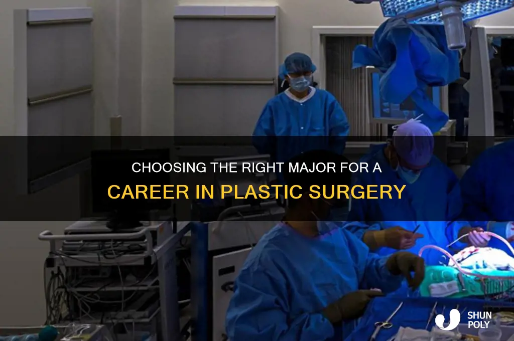Choosing The Right Major For A Career In Plastic Surgery | ShunPoly