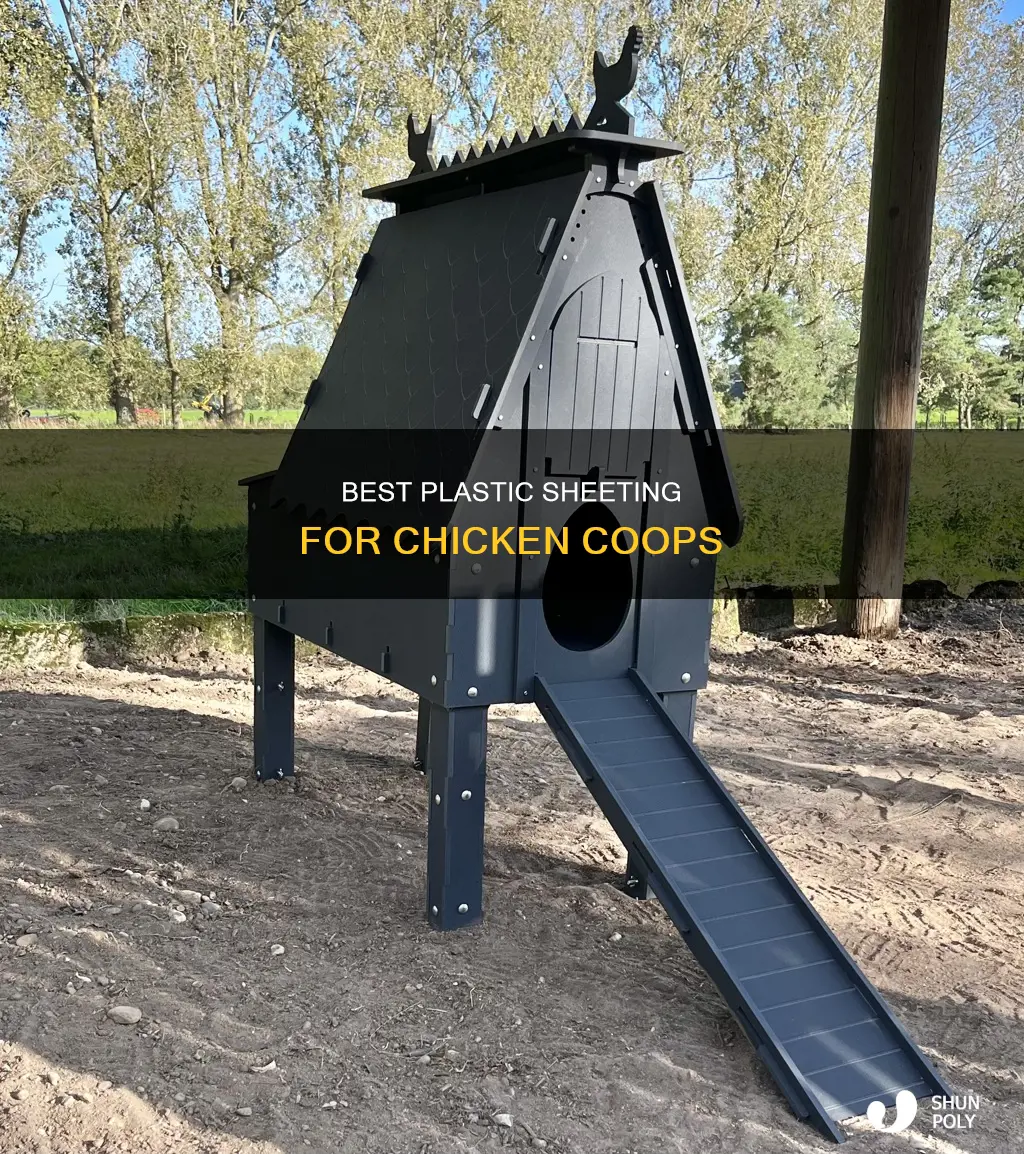 Best Plastic Sheeting For Chicken Coops | ShunPoly