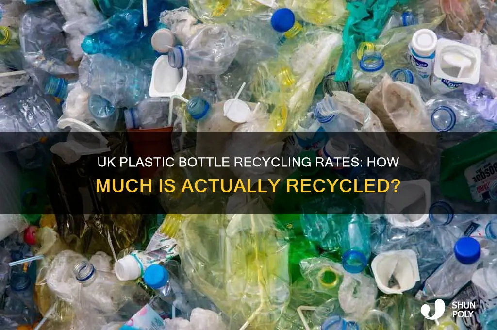 Uk Plastic Bottle Recycling Rates: How Much Is Actually Recycled ...