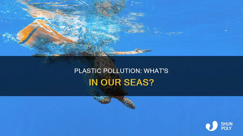 Plastic Pollution: What's In Our Seas? | ShunPoly