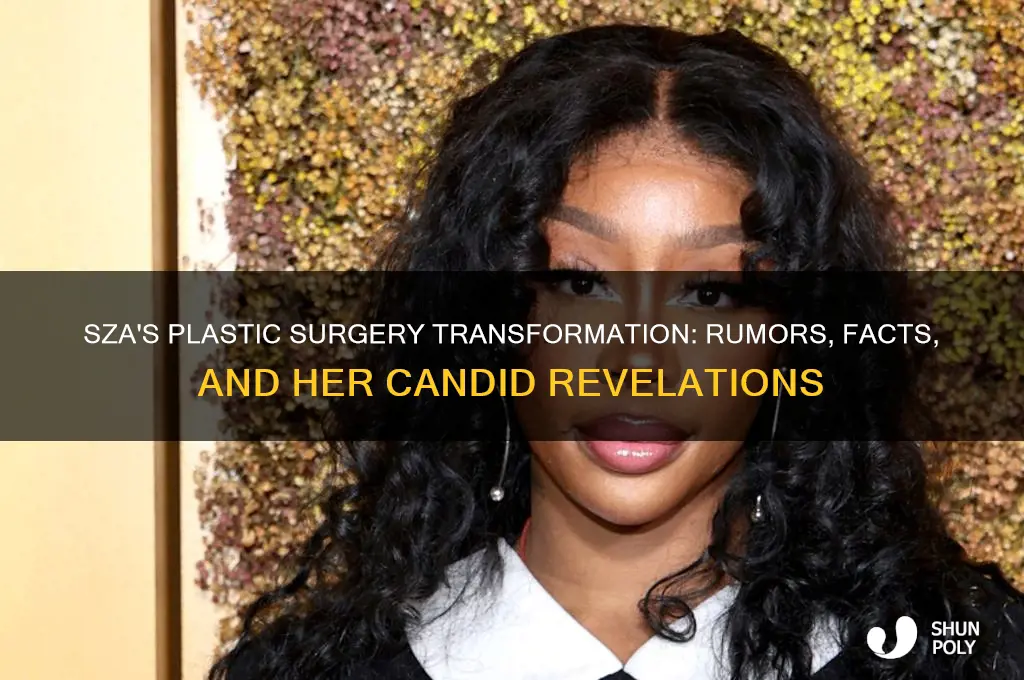 Sza's Plastic Surgery Transformation: Rumors, Facts, And Her Candid ...