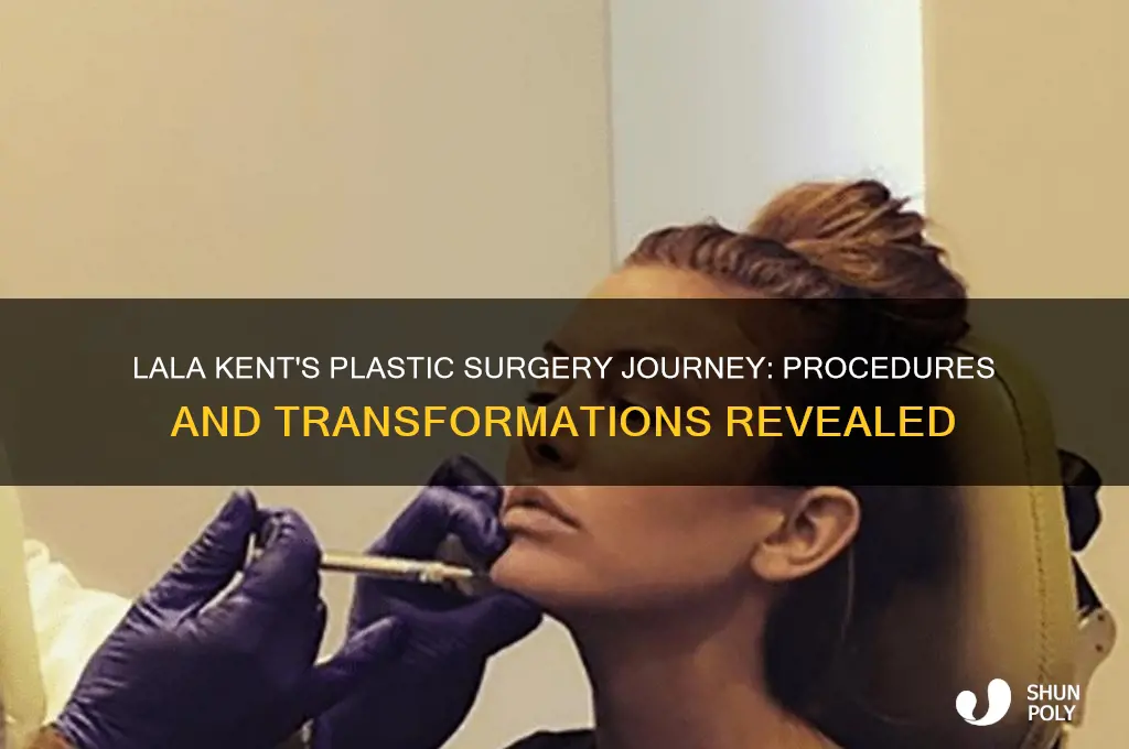 Lala Kent's Plastic Surgery Journey: Procedures And Transformations ...