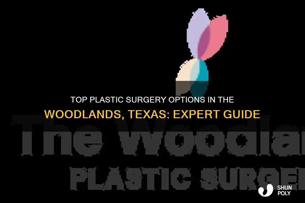 Top Plastic Surgery Options In The Woodlands, Texas: Expert Guide ...