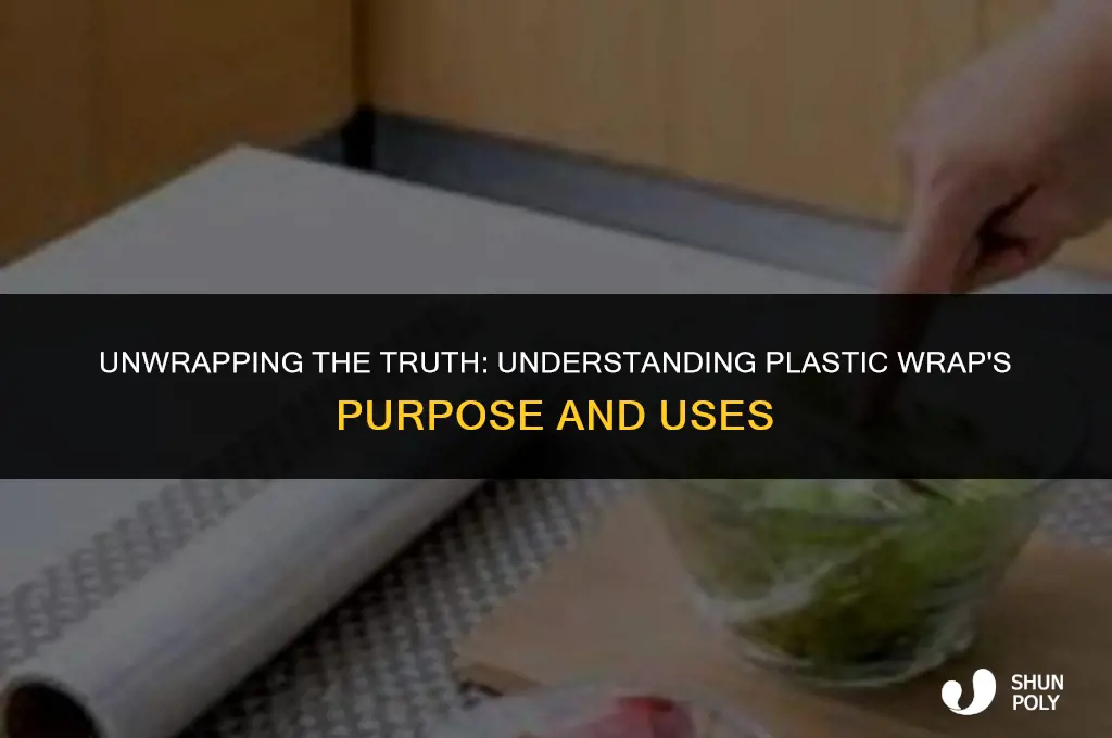 Unwrapping The Truth: Understanding Plastic Wrap's Purpose And Uses ...