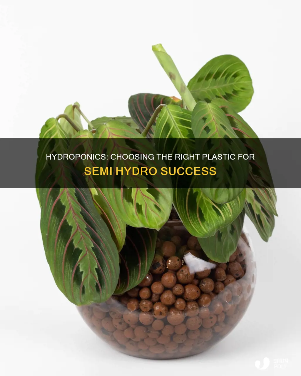 Hydroponics: Choosing The Right Plastic For Semi Hydro Success | ShunPoly