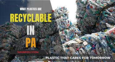 Recycling Plastics: What's Accepted In Your Area? | ShunPoly
