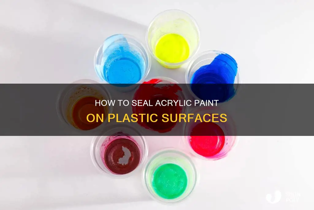 How To Seal Acrylic Paint On Plastic Surfaces | ShunPoly