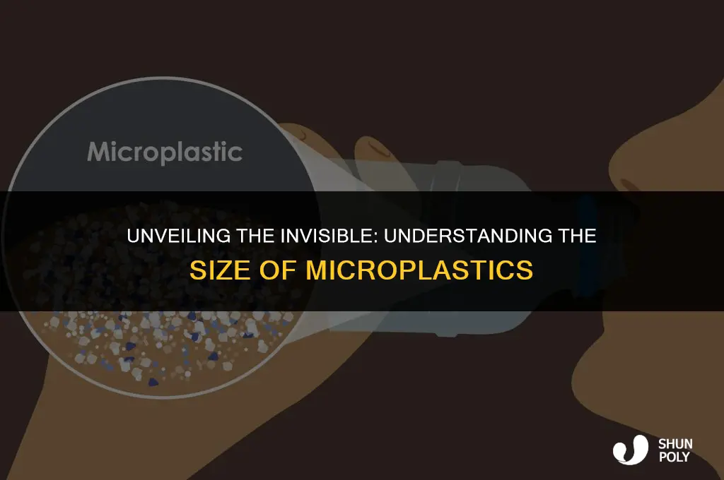 Unveiling The Invisible: Understanding The Size Of Microplastics | ShunPoly