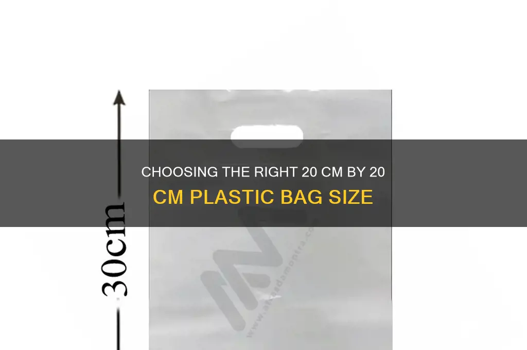 Choosing The Right 20 Cm By 20 Cm Plastic Bag Size | ShunPoly