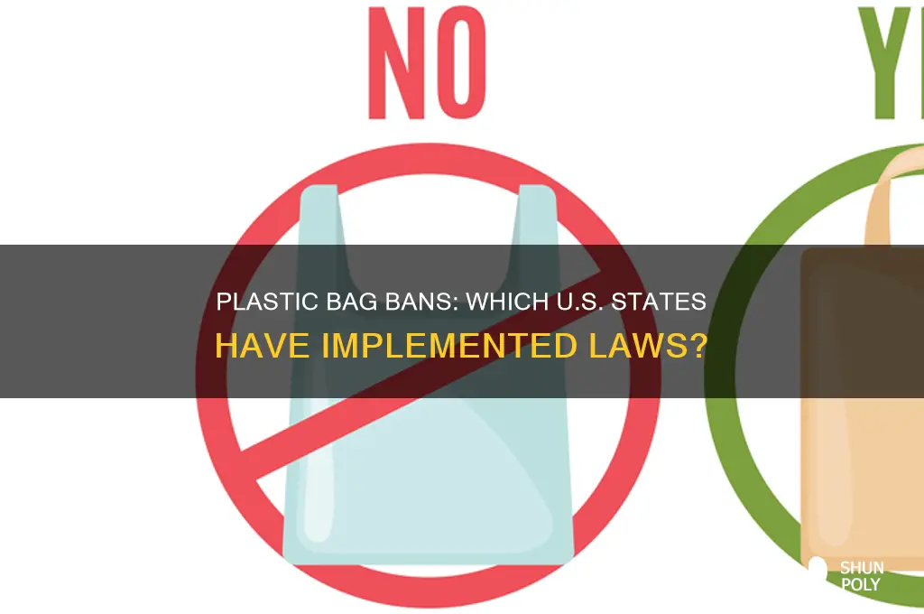 Plastic Bag Bans: Which U.S. States Have Implemented Laws? | ShunPoly
