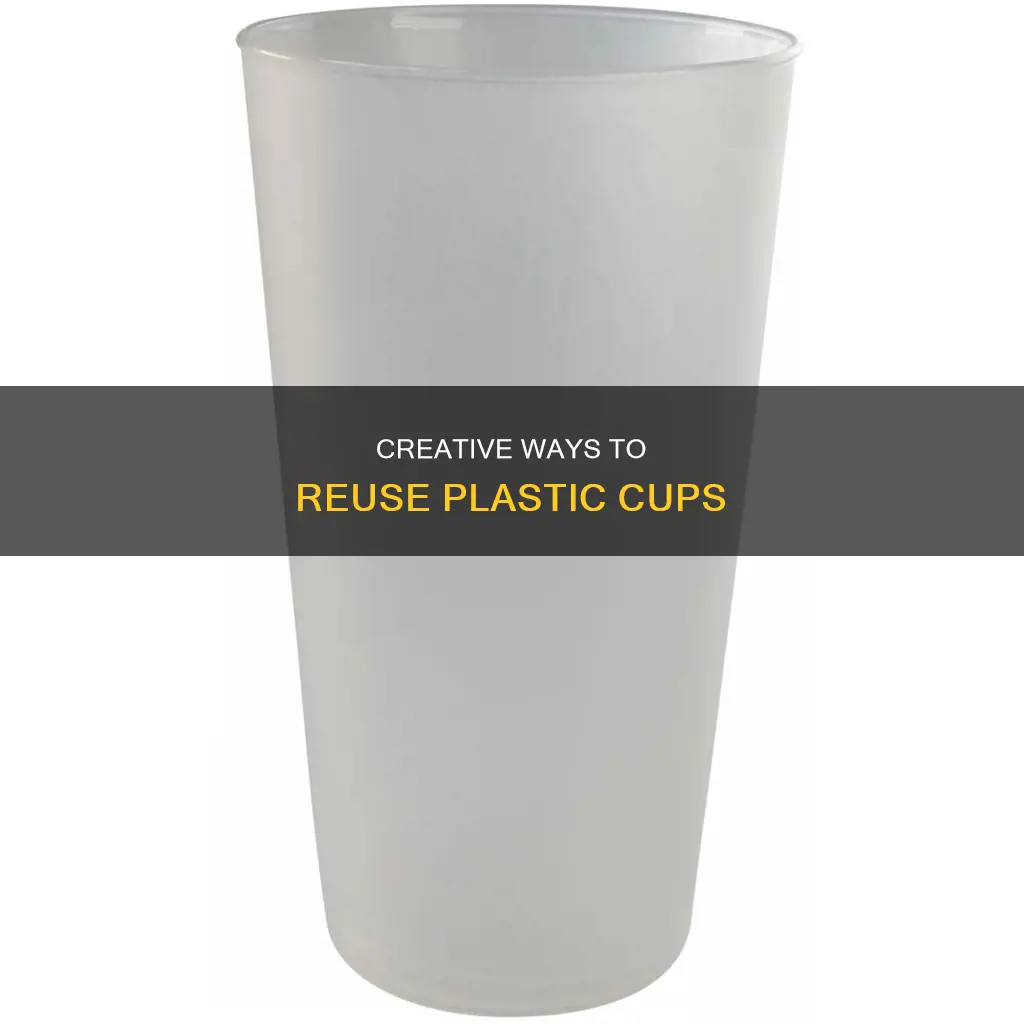 Creative Ways To Reuse Plastic Cups | ShunPoly