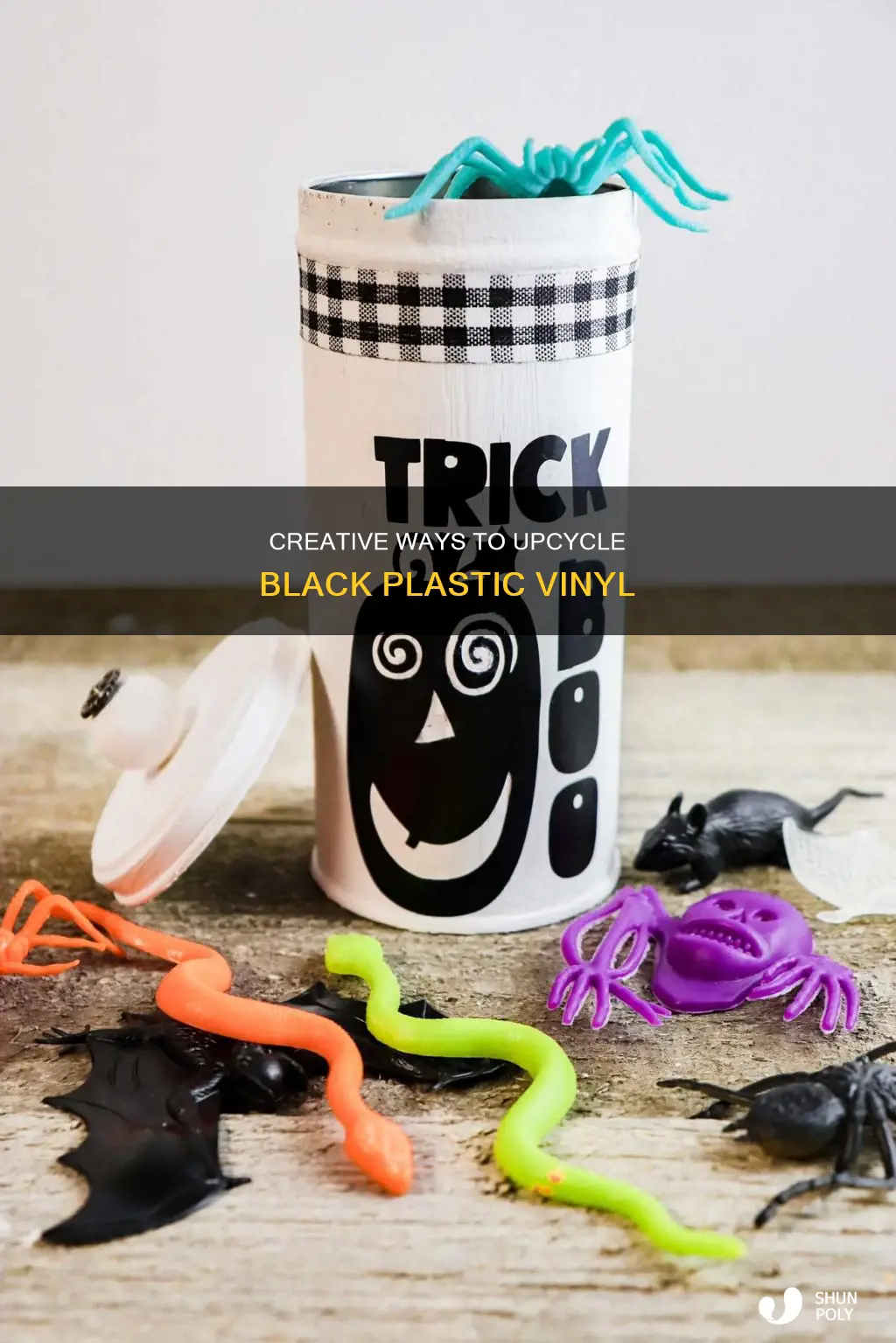 Creative Ways To Upcycle Black Plastic Vinyl | ShunPoly