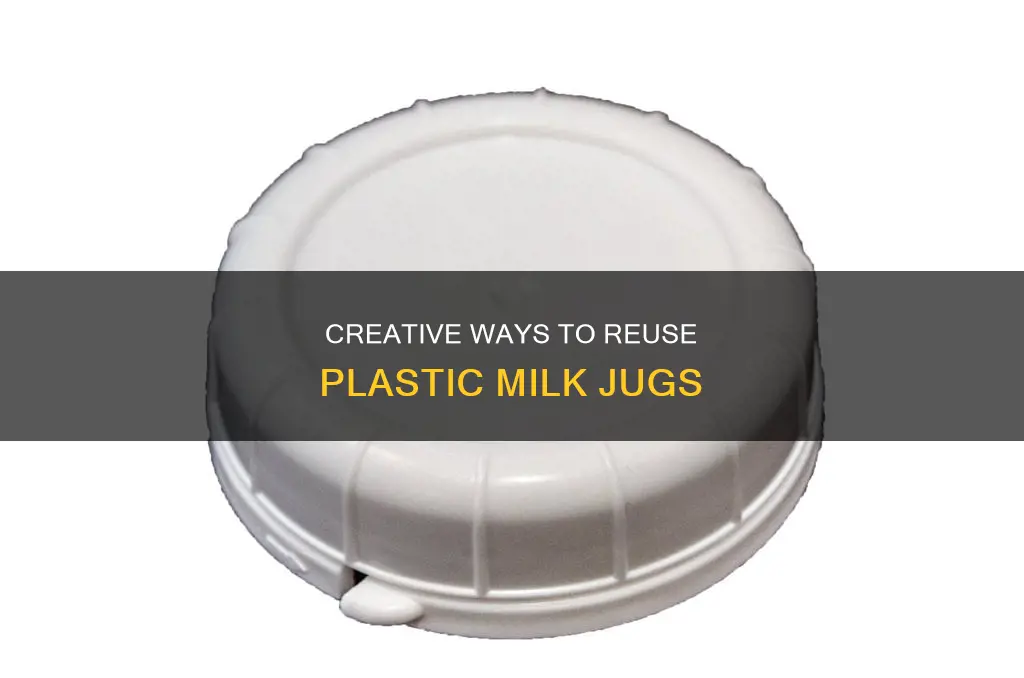 Creative Ways To Reuse Plastic Milk Jugs | ShunPoly