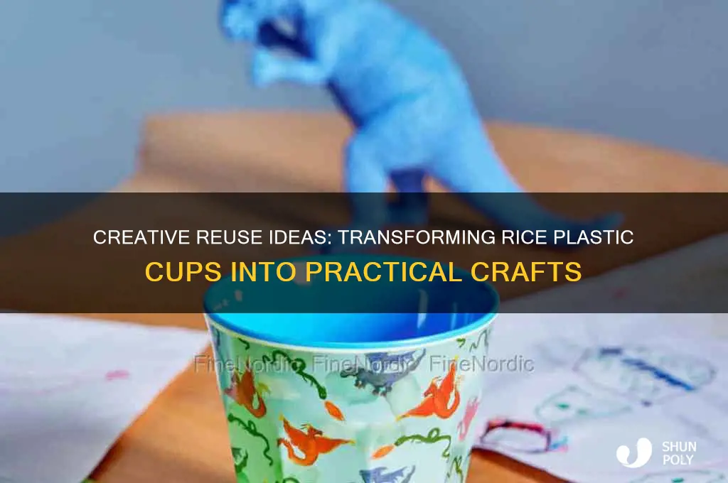 Creative Reuse Ideas: Transforming Rice Plastic Cups Into Practical ...