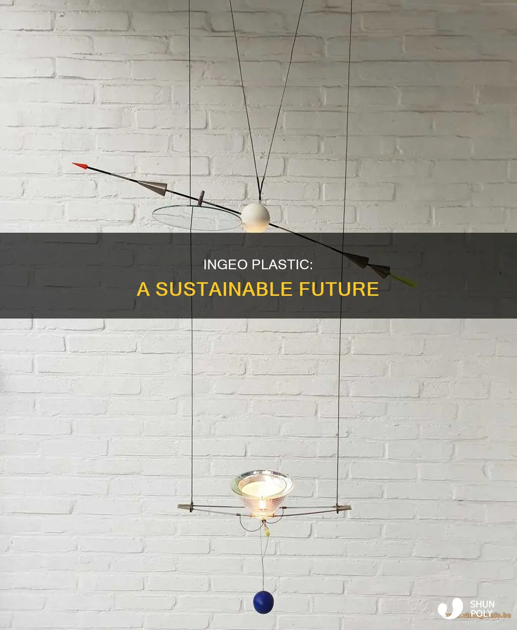 Ingeo Plastic: A Sustainable Future | ShunPoly