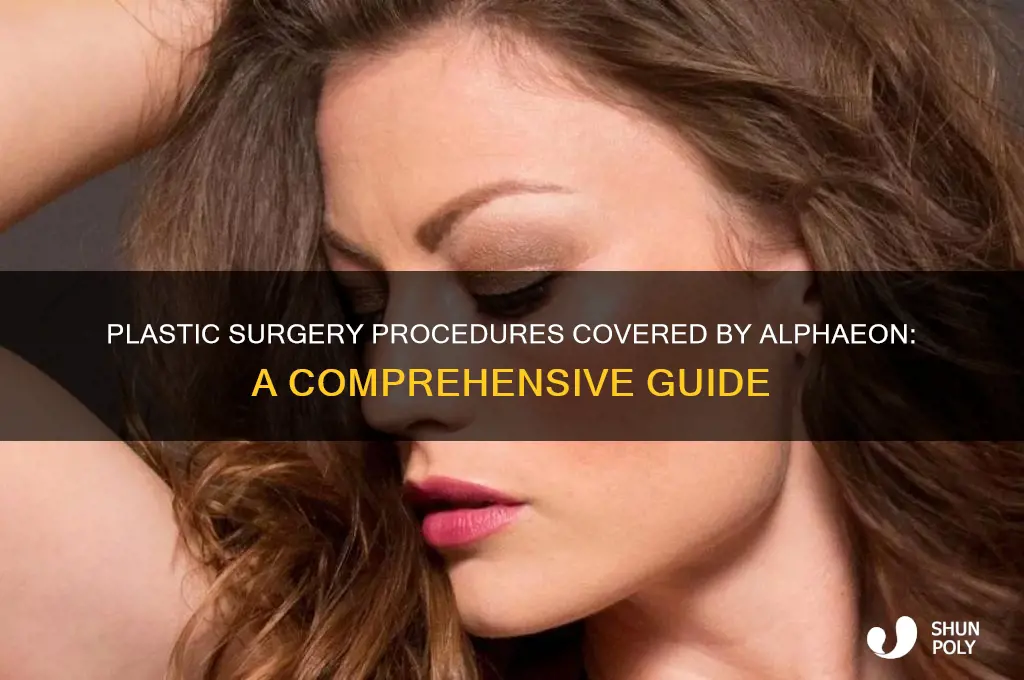 Plastic Surgery Procedures Covered By Alphaeon: A Comprehensive Guide ...