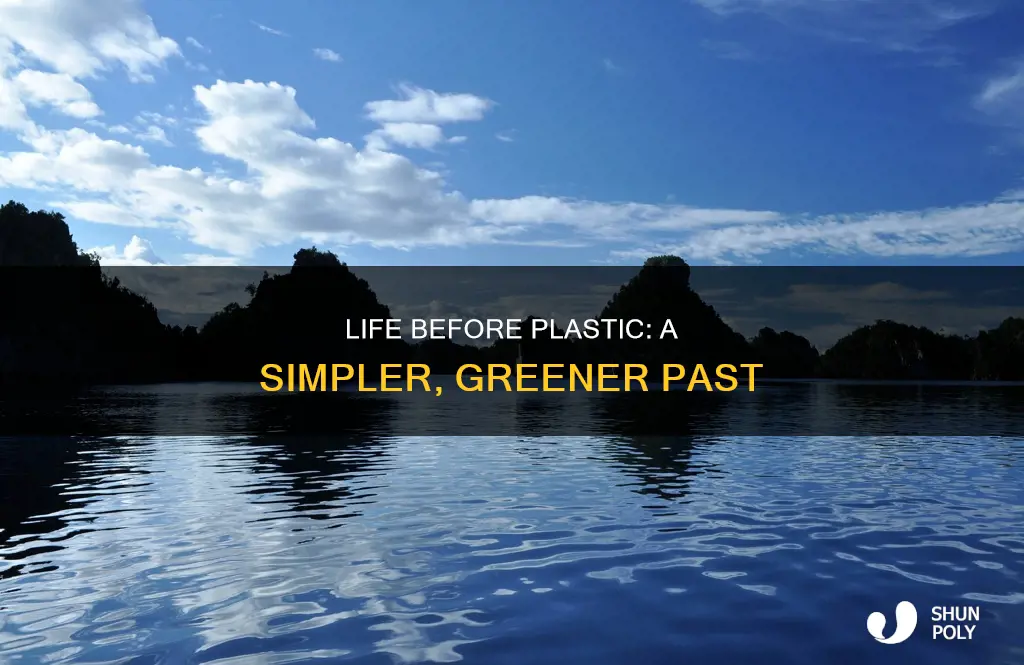 Life Before Plastic: A Simpler, Greener Past | ShunPoly