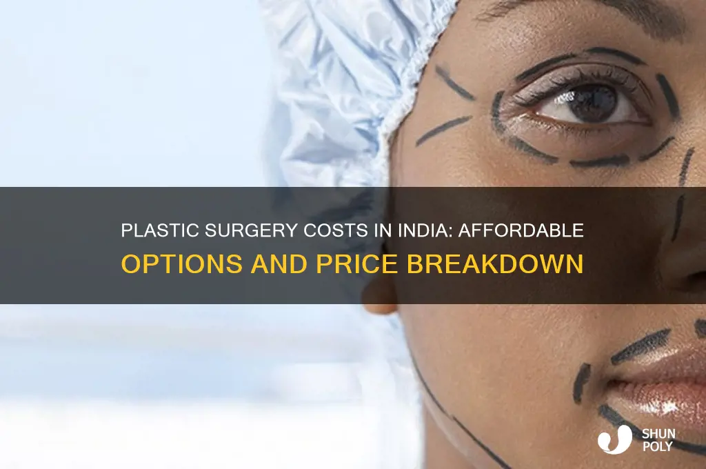 Plastic Surgery Costs In India: Affordable Options And Price Breakdown ...