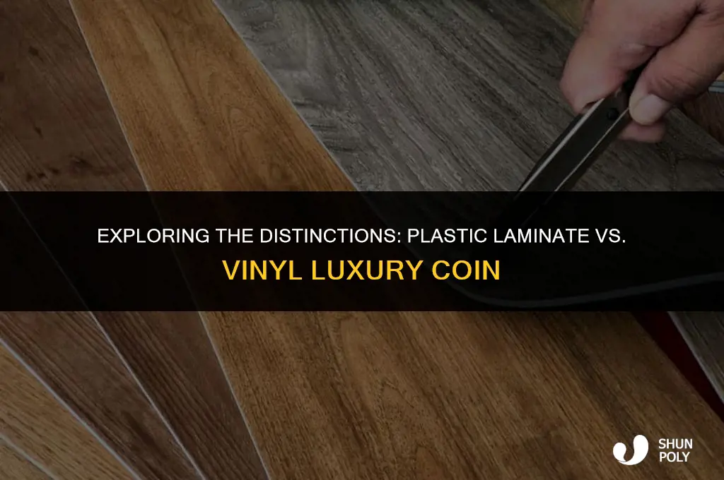 Exploring The Distinctions: Plastic Laminate Vs. Vinyl Luxury Coin ...