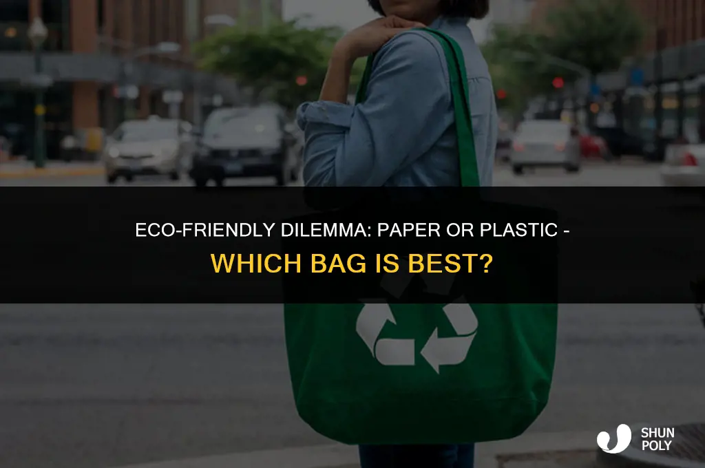 Eco-Friendly Dilemma: Paper Or Plastic - Which Bag Is Best? | ShunPoly