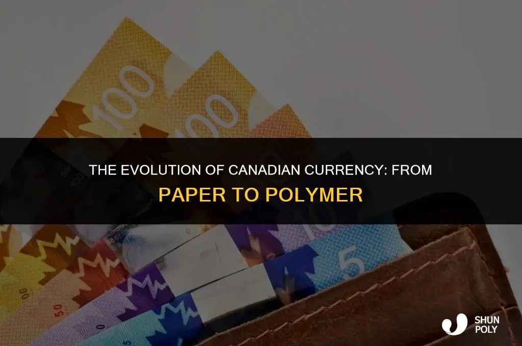 The Evolution Of Canadian Currency: From Paper To Polymer | ShunPoly