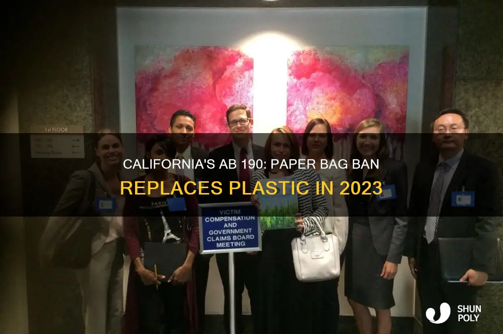 California's Ab 190: Paper Bag Ban Replaces Plastic In 2023 | ShunPoly