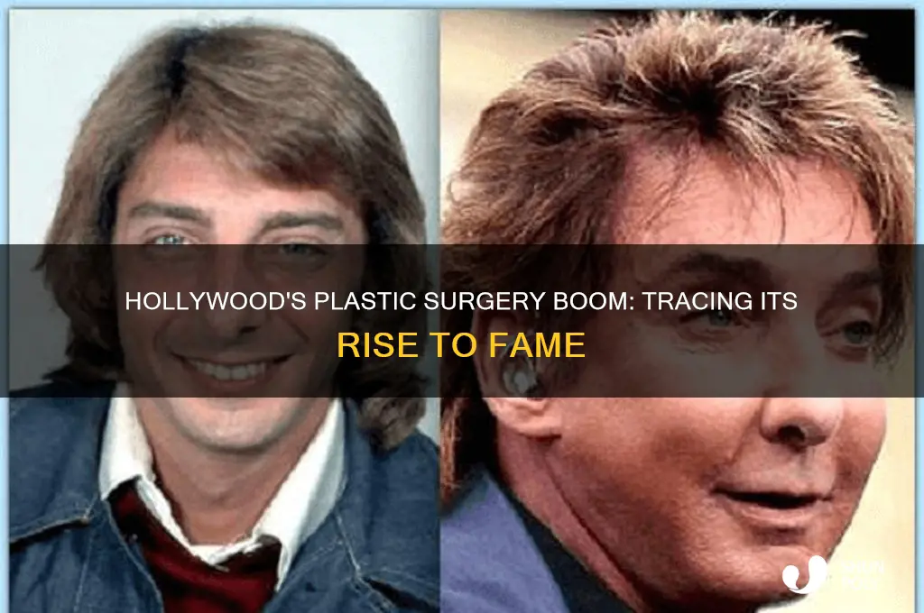 Hollywood's Plastic Surgery Boom: Tracing Its Rise To Fame | ShunPoly