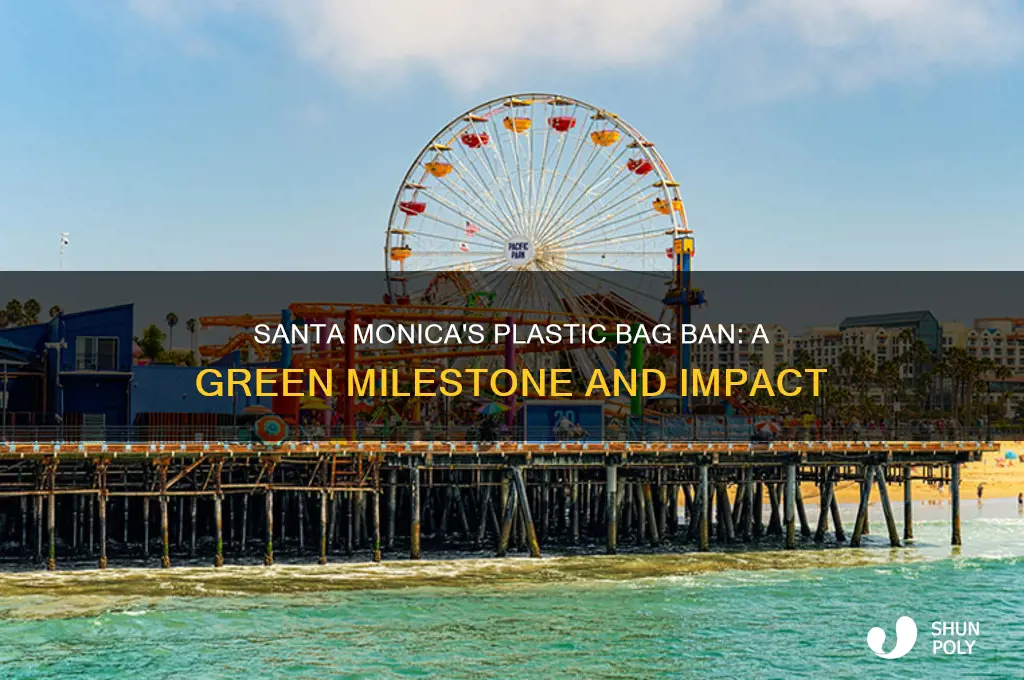 Santa Monica's Plastic Bag Ban: A Green Milestone And Impact | ShunPoly
