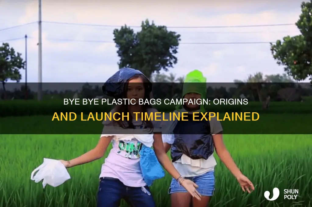Bye Bye Plastic Bags Campaign: Origins And Launch Timeline Explained ...