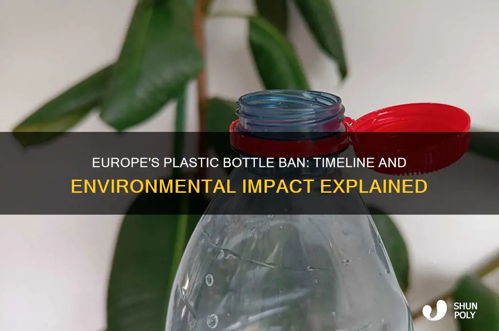 Europe's Plastic Bottle Ban: Timeline And Environmental Impact ...