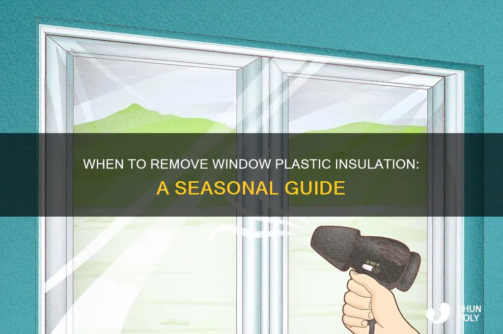 When To Remove Window Plastic Insulation: A Seasonal Guide | ShunPoly