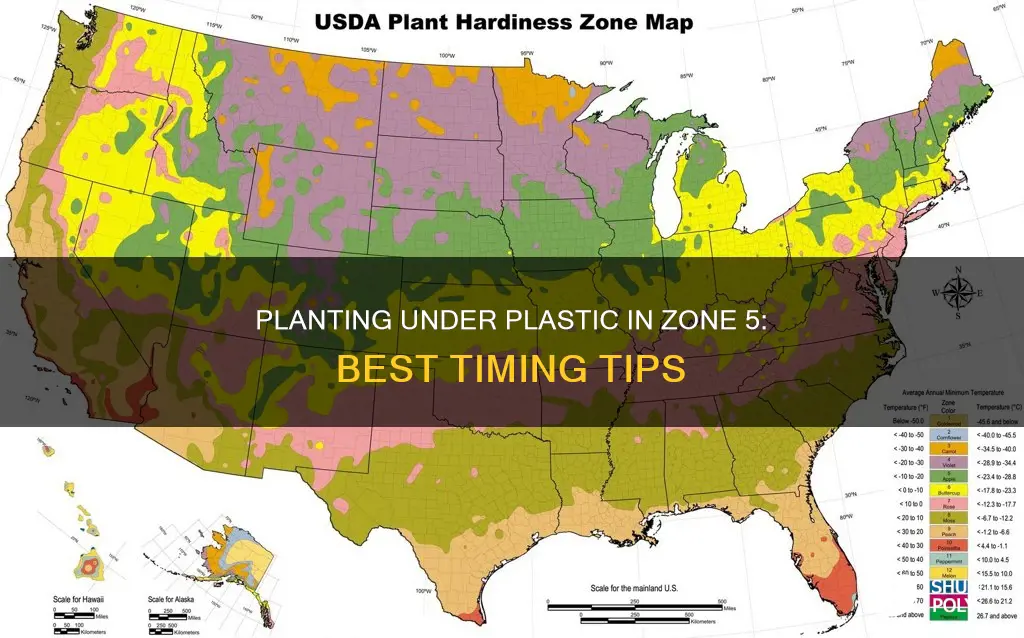 Planting Under Plastic In Zone 5: Best Timing Tips | ShunPoly