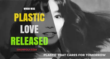 Unveiling The History: When Was Plastic Really Invented? | ShunPoly
