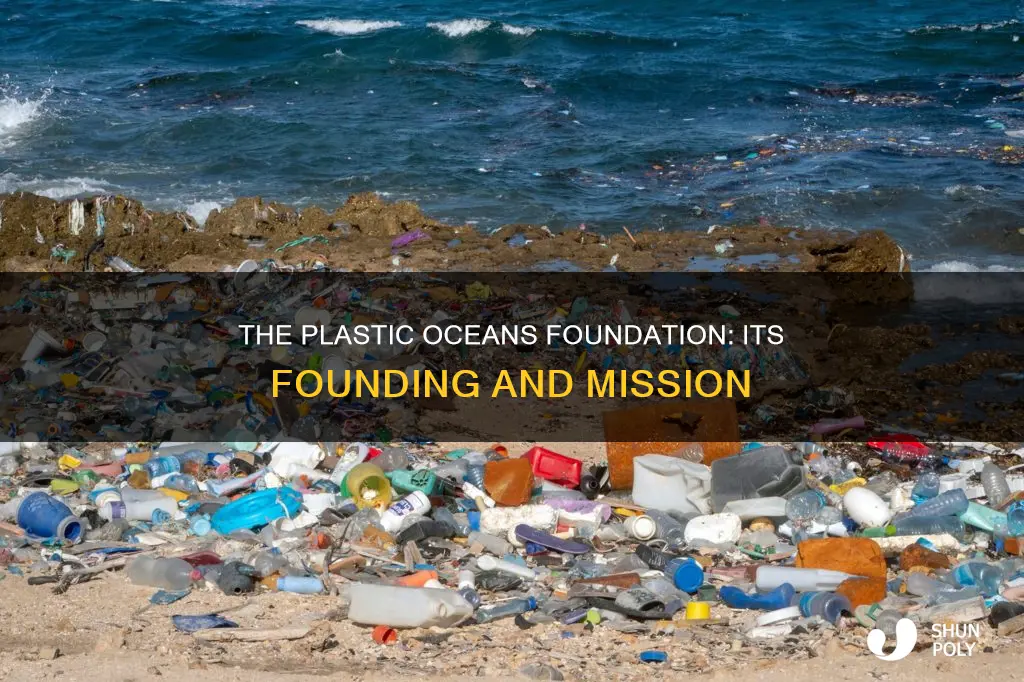 The Plastic Oceans Foundation: Its Founding And Mission | ShunPoly