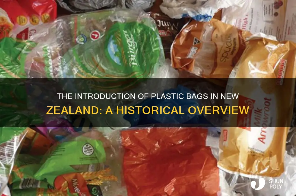 The Introduction Of Plastic Bags In New Zealand: A Historical Overview ...