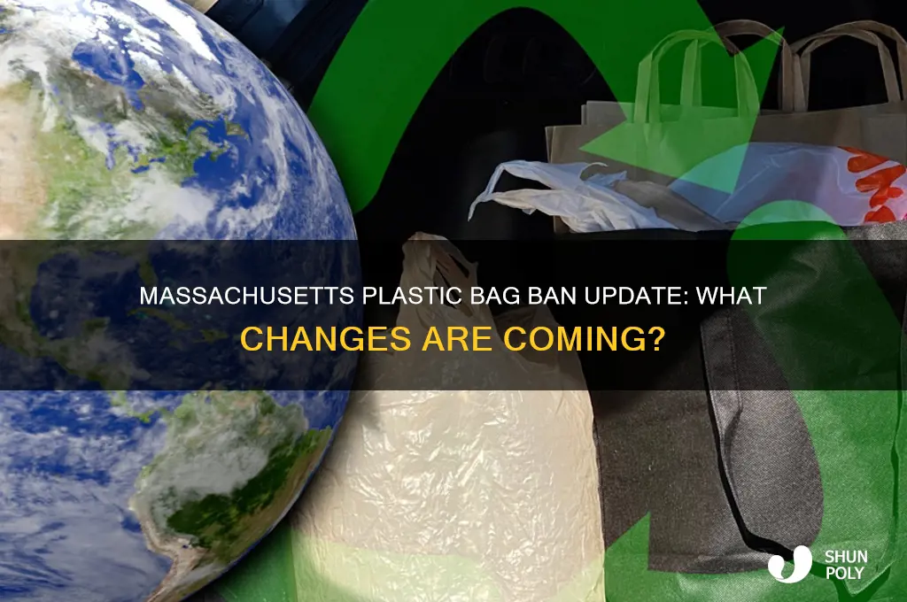Massachusetts Plastic Bag Ban Update: What Changes Are Coming? | ShunPoly
