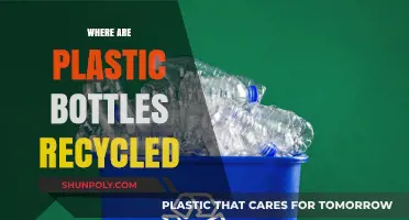 Oregon's Plastic Bottle Return Locations: A Comprehensive Recycling ...