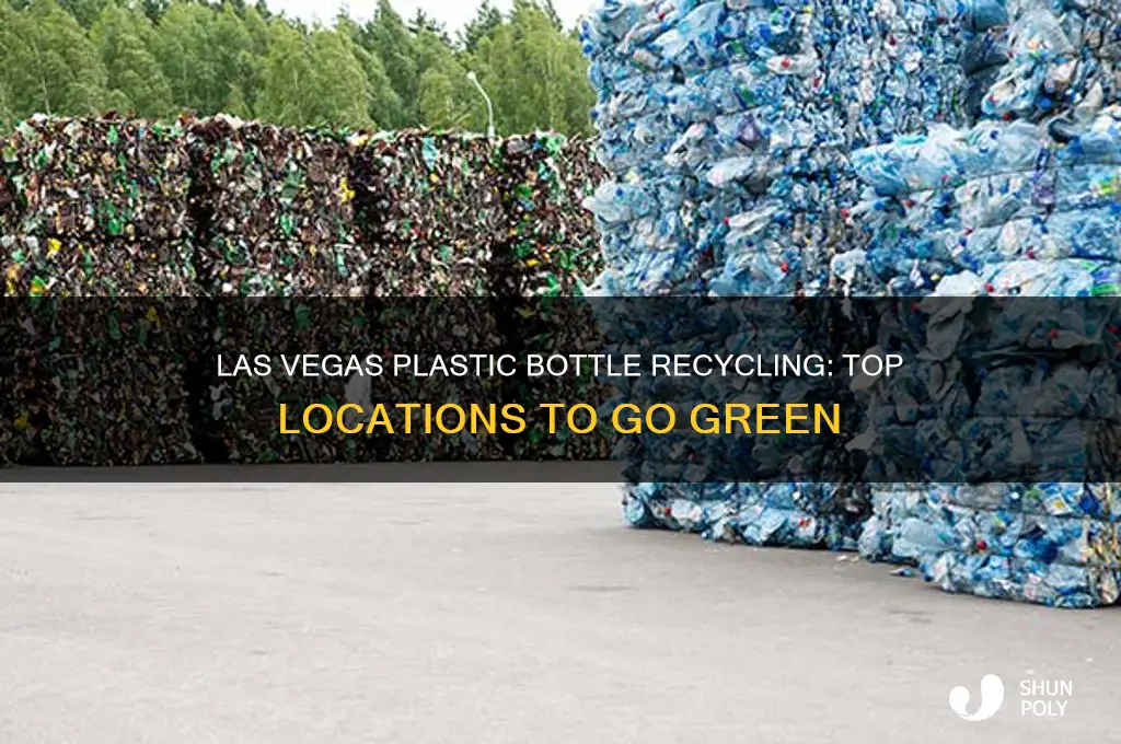 Las Vegas Plastic Bottle Recycling: Top Locations To Go Green | ShunPoly