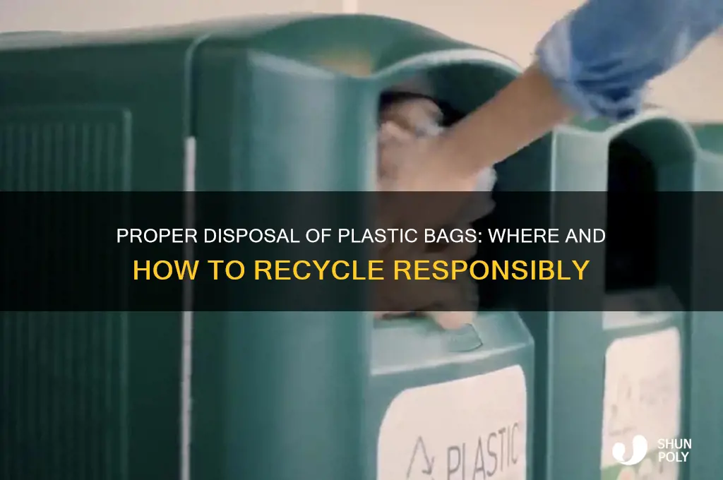 Proper Disposal Of Plastic Bags: Where And How To Recycle Responsibly ...
