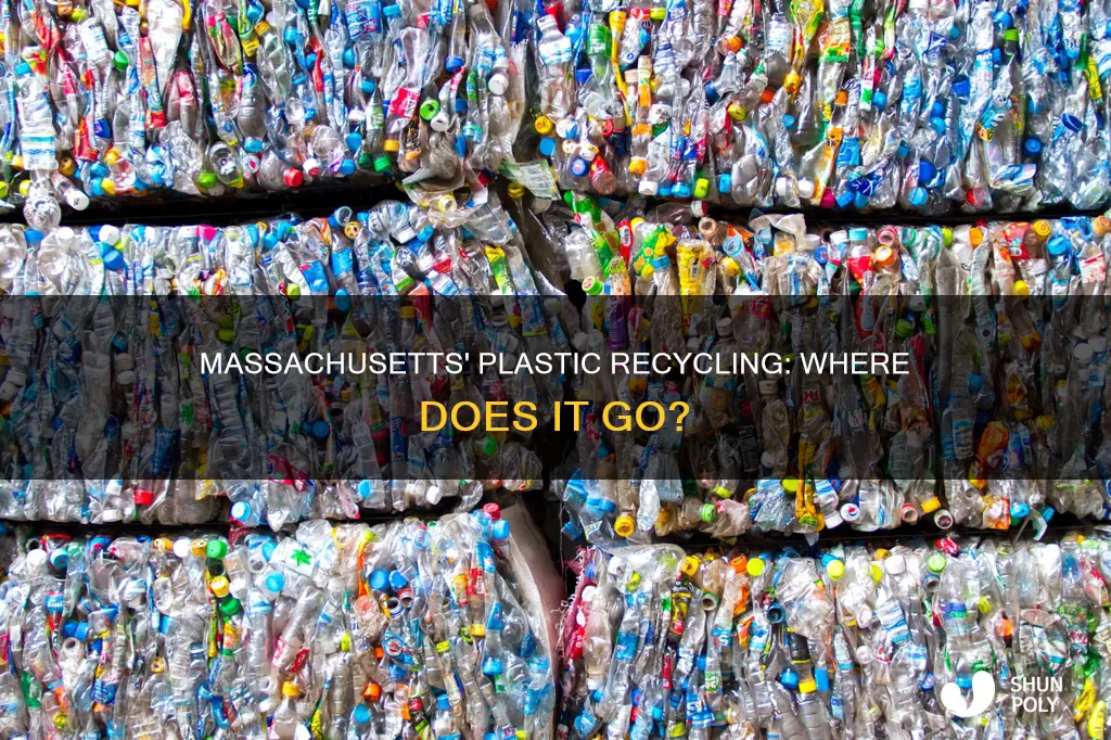 Massachusetts' Plastic Recycling: Where Does It Go? | ShunPoly