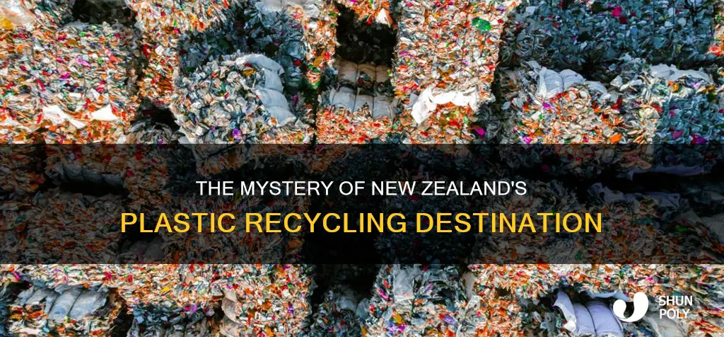 The Mystery Of New Zealand's Plastic Recycling Destination | ShunPoly