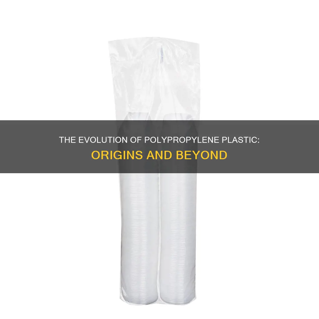 The Evolution Of Polypropylene Plastic: Origins And Beyond | ShunPoly