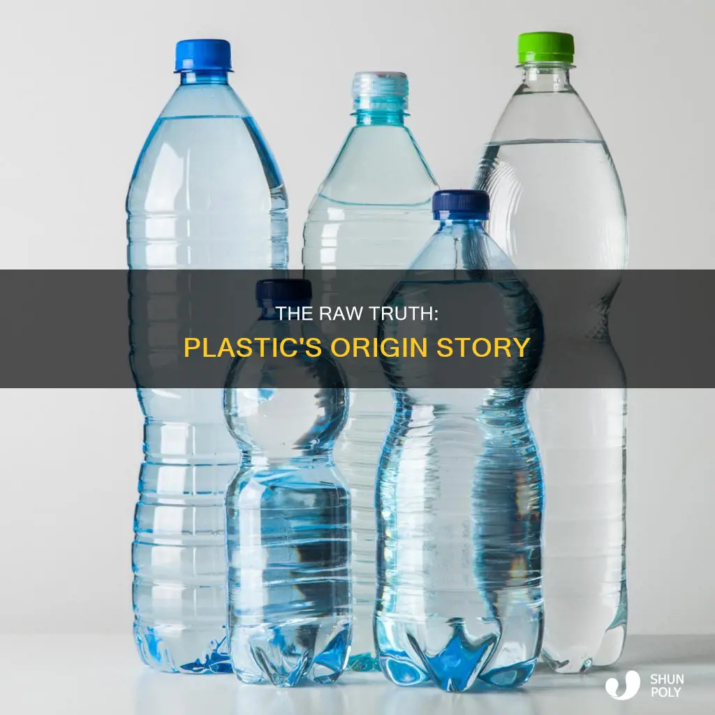 The Raw Truth: Plastic's Origin Story | ShunPoly