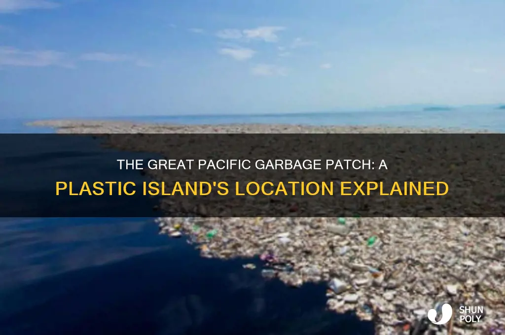 The Great Pacific Garbage Patch: A Plastic Island's Location Explained ...