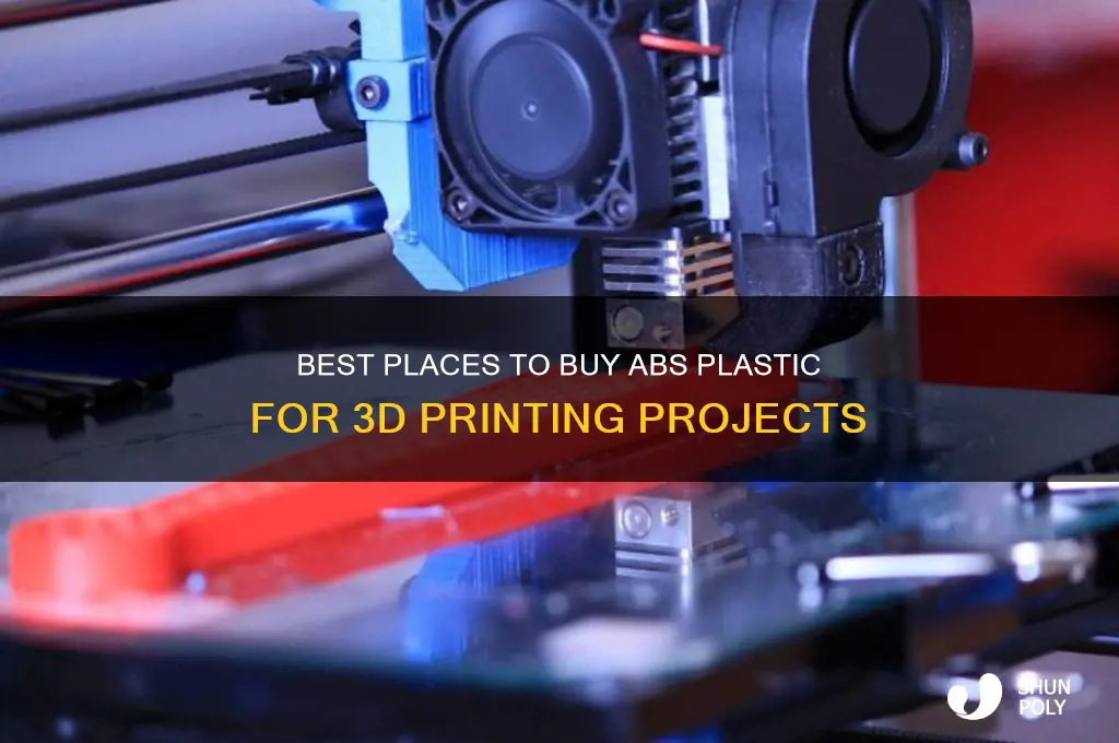 Best Places To Buy Abs Plastic For 3D Printing Projects | ShunPoly