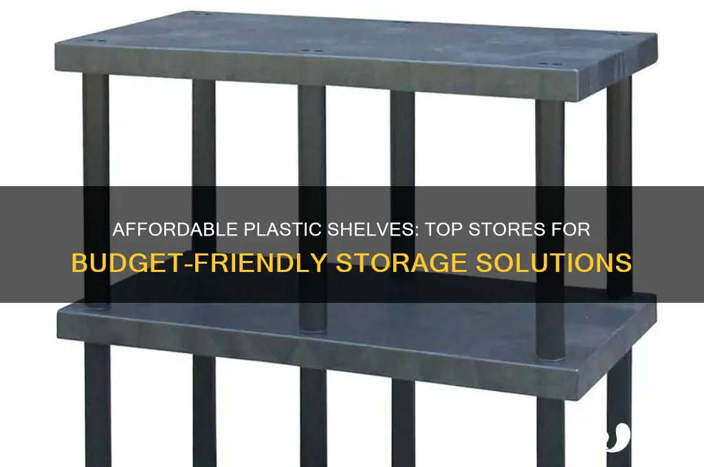 Affordable Plastic Shelves: Top Stores For Budget-Friendly Storage ...