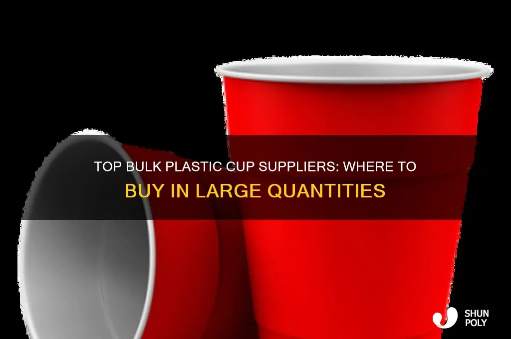 Top Bulk Plastic Cup Suppliers: Where To Buy In Large Quantities | ShunPoly