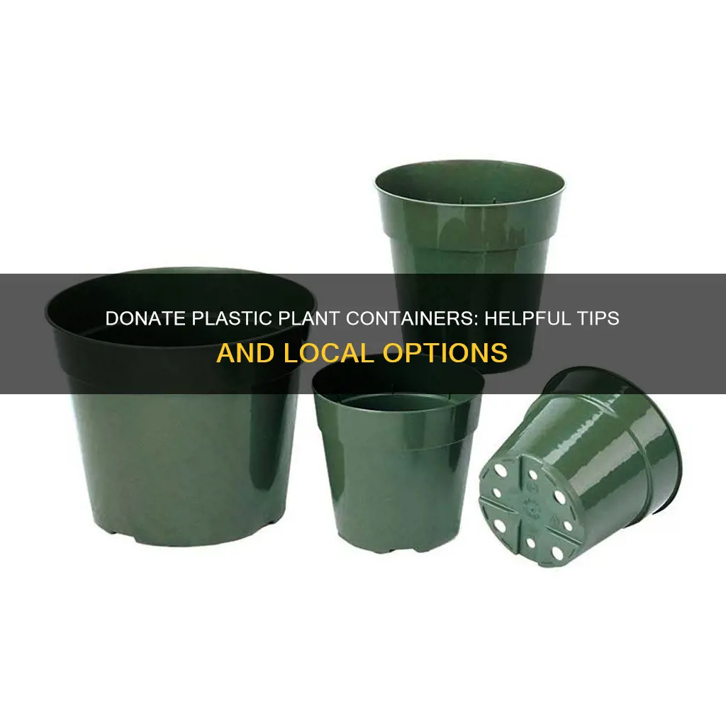 Donate Plastic Plant Containers: Helpful Tips And Local Options | ShunPoly