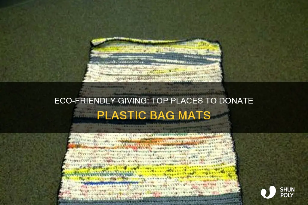 Eco-Friendly Giving: Top Places To Donate Plastic Bag Mats | ShunPoly